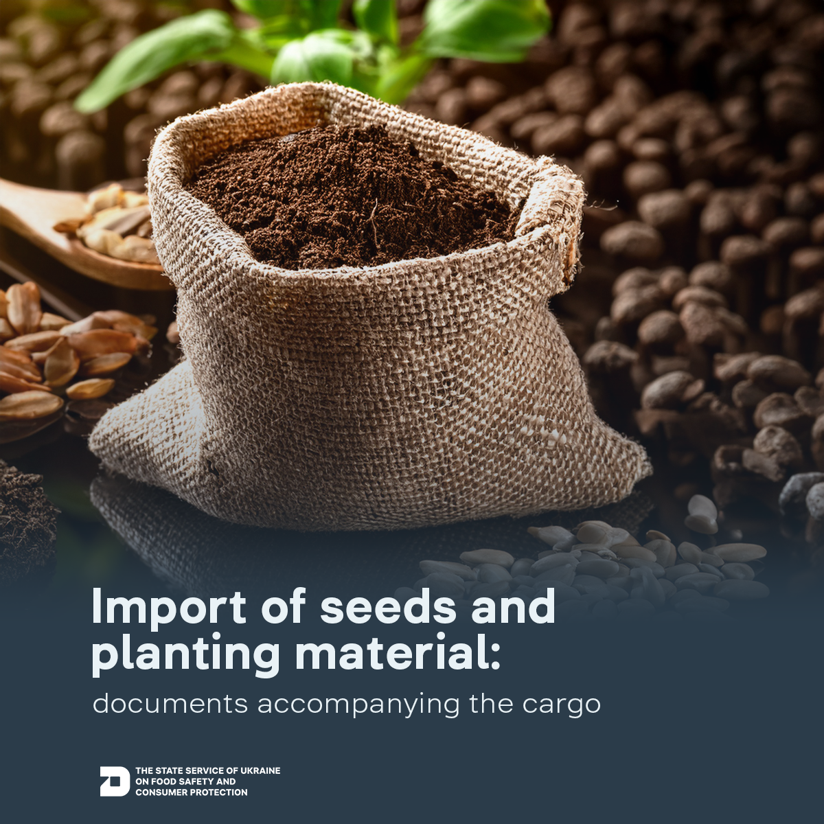 Import of seeds and planting material: documents accompanying the cargo ...